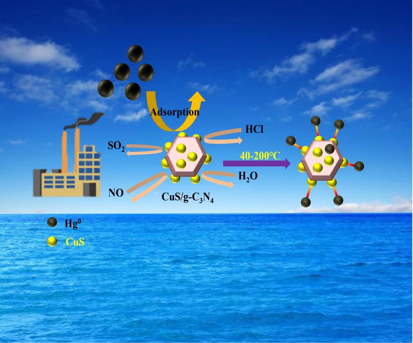 能机学院在重金属污染物控制研究方面取得新的重要进展